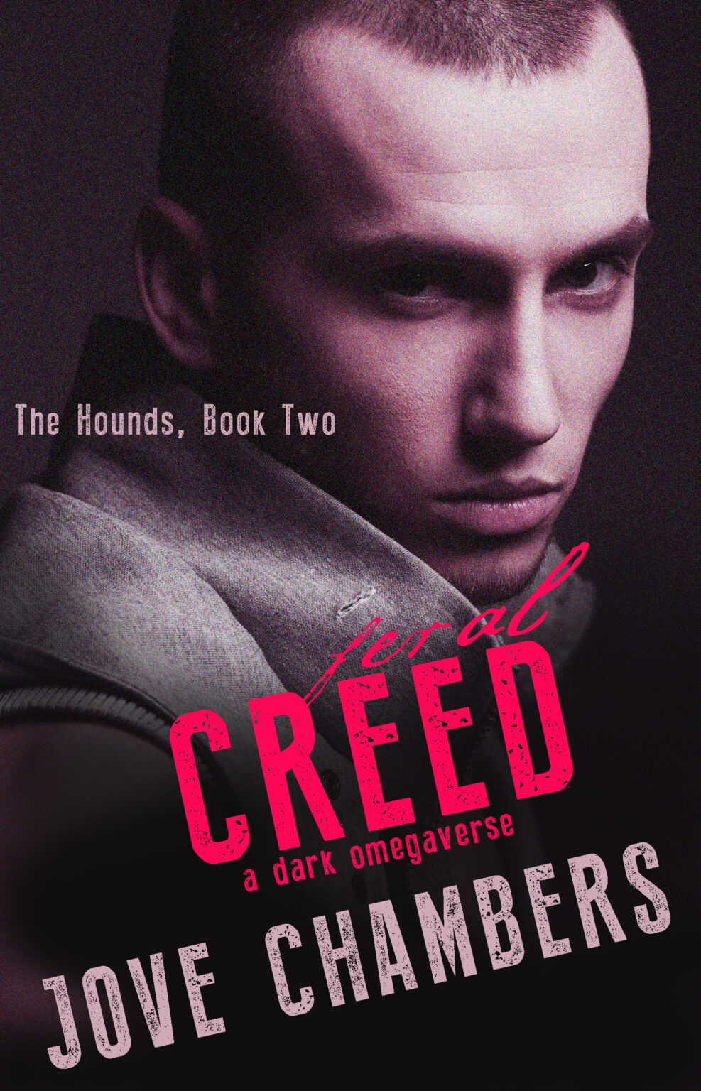 Feral Creed, The Hounds, Book Two – V. J. Chambers et al