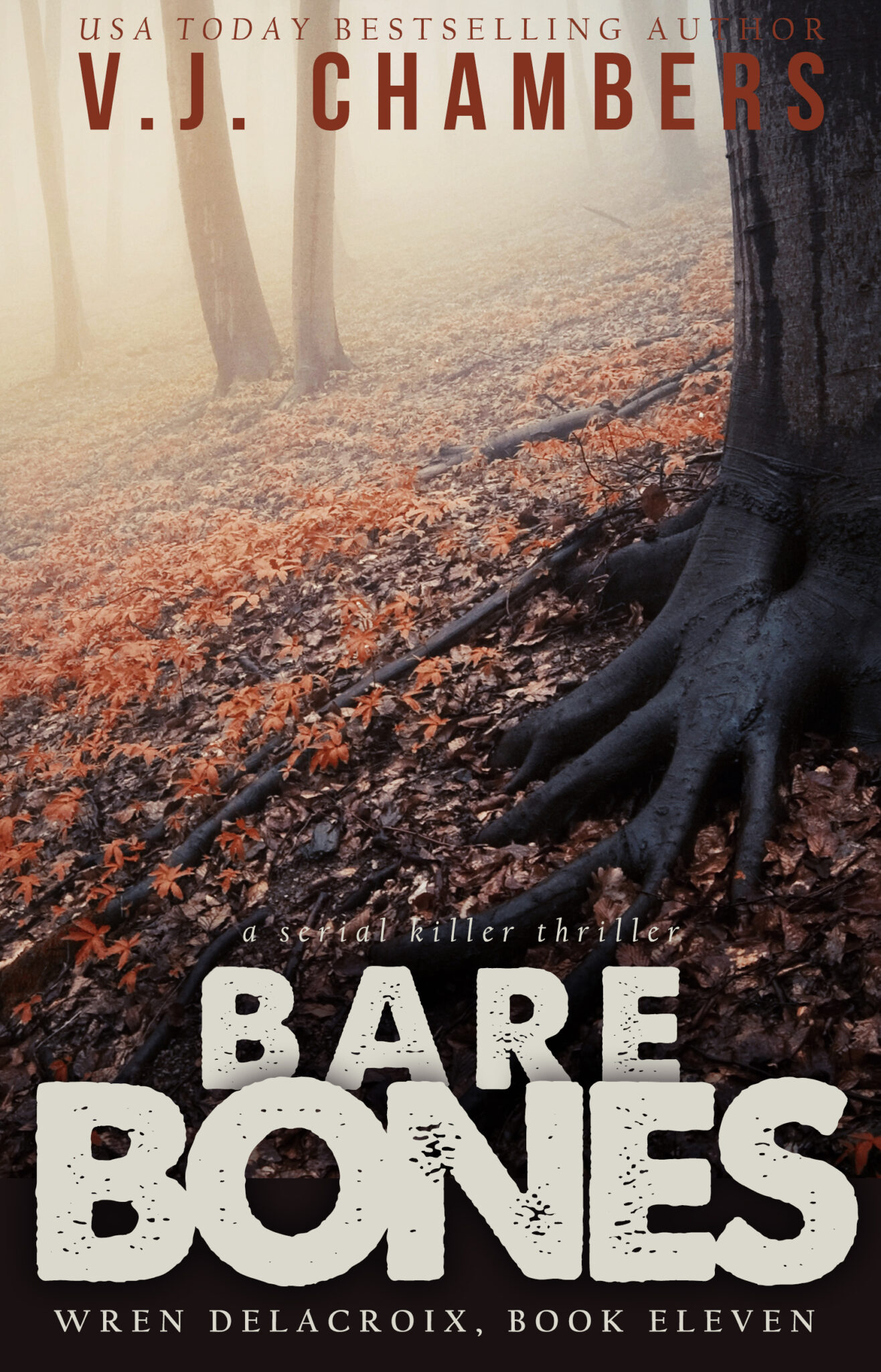Bare Bones, Wren Delacroix, Book 11 – V. J. Chambers et al