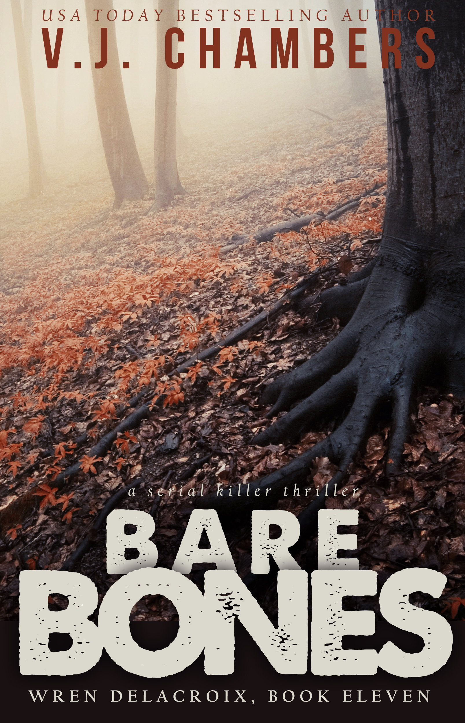 Bare Bones, Wren Delacroix, Book 11 – V. J. Chambers et al